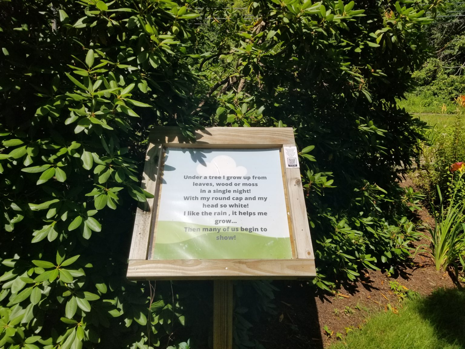 Clark Memorial Library | Engage. Connect. Grow