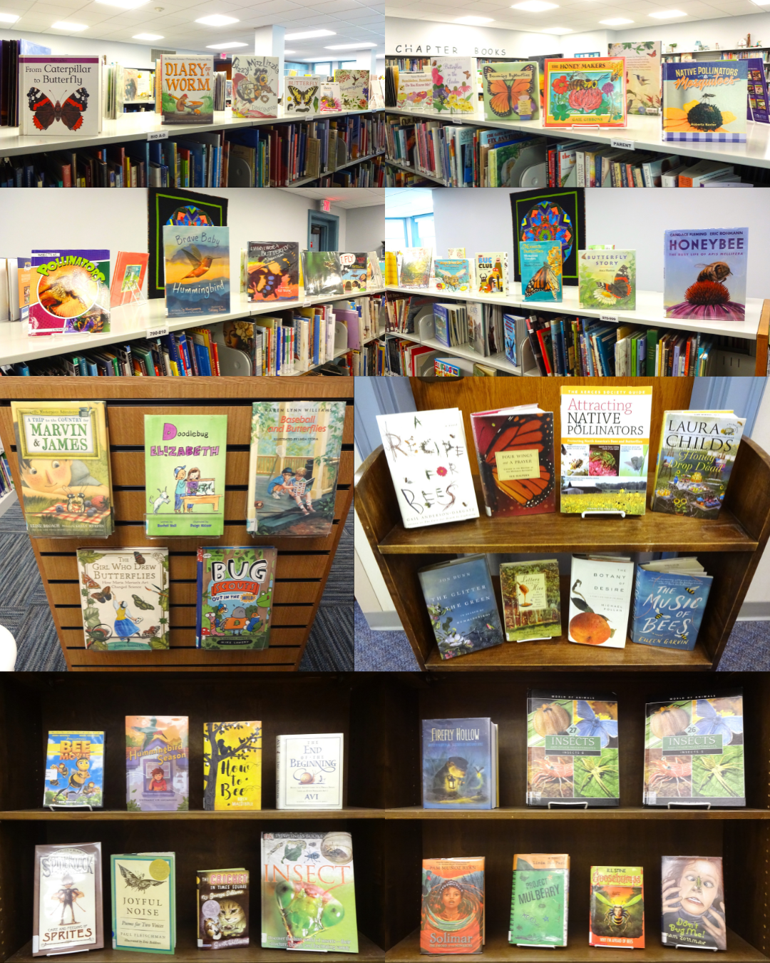 What’s the Buzz? Book Displays | Clark Memorial Library