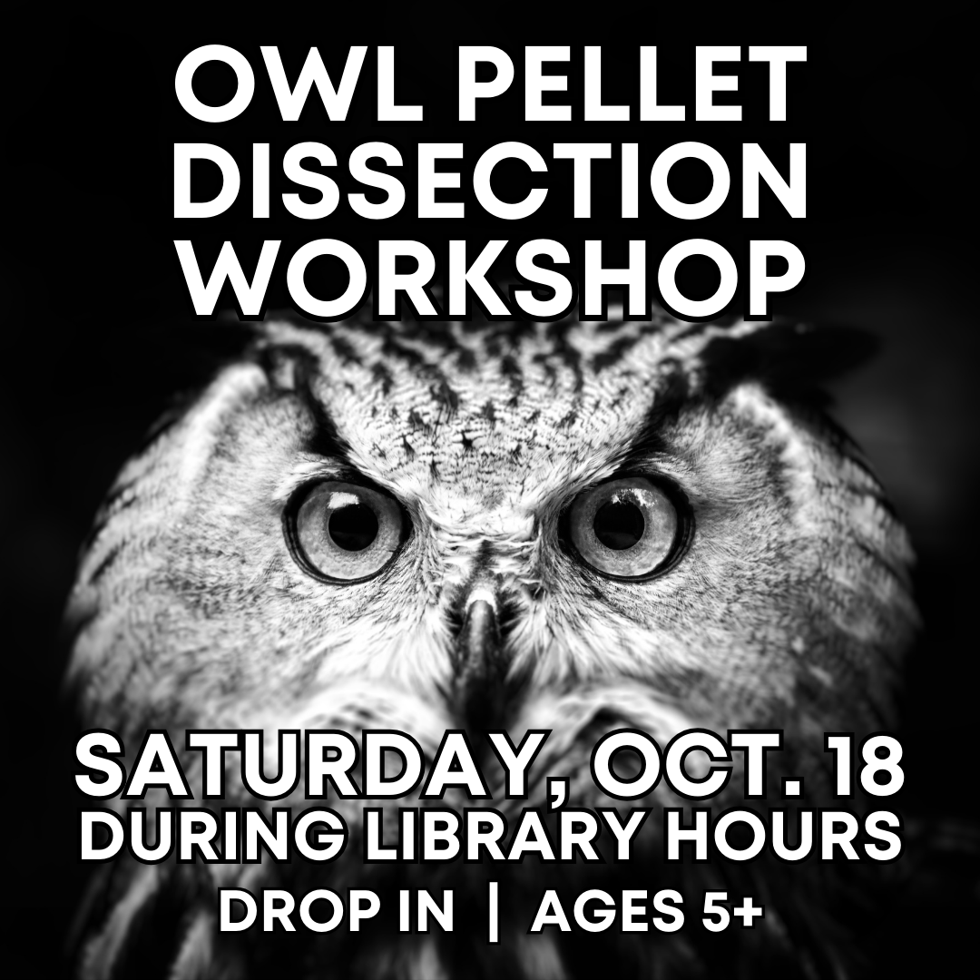 Owl Pellet Dissection Workshop | Clark Memorial Library