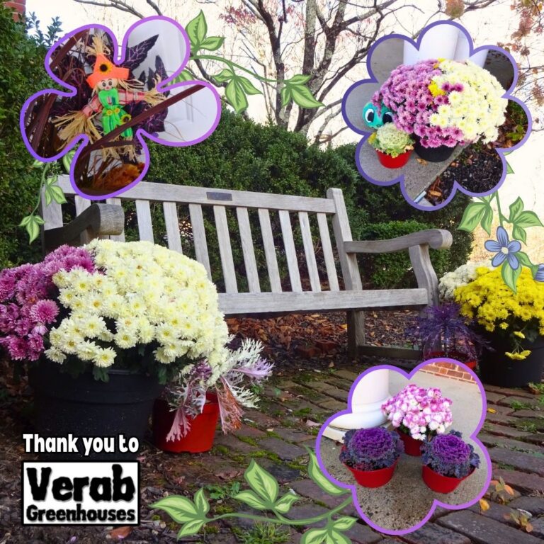 Flower Donation | Clark Memorial Library