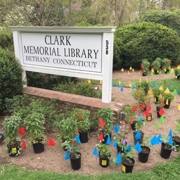 Clark Memorial Library | Engage. Connect. Grow